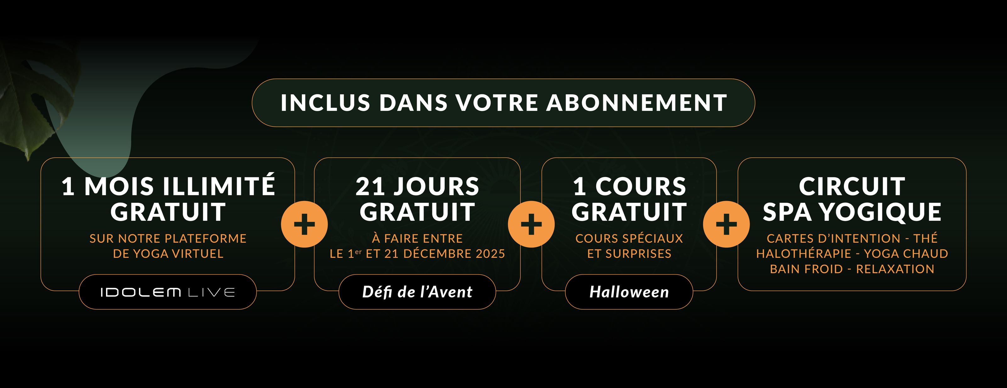 Studio Drummondville | Idolem Yoga